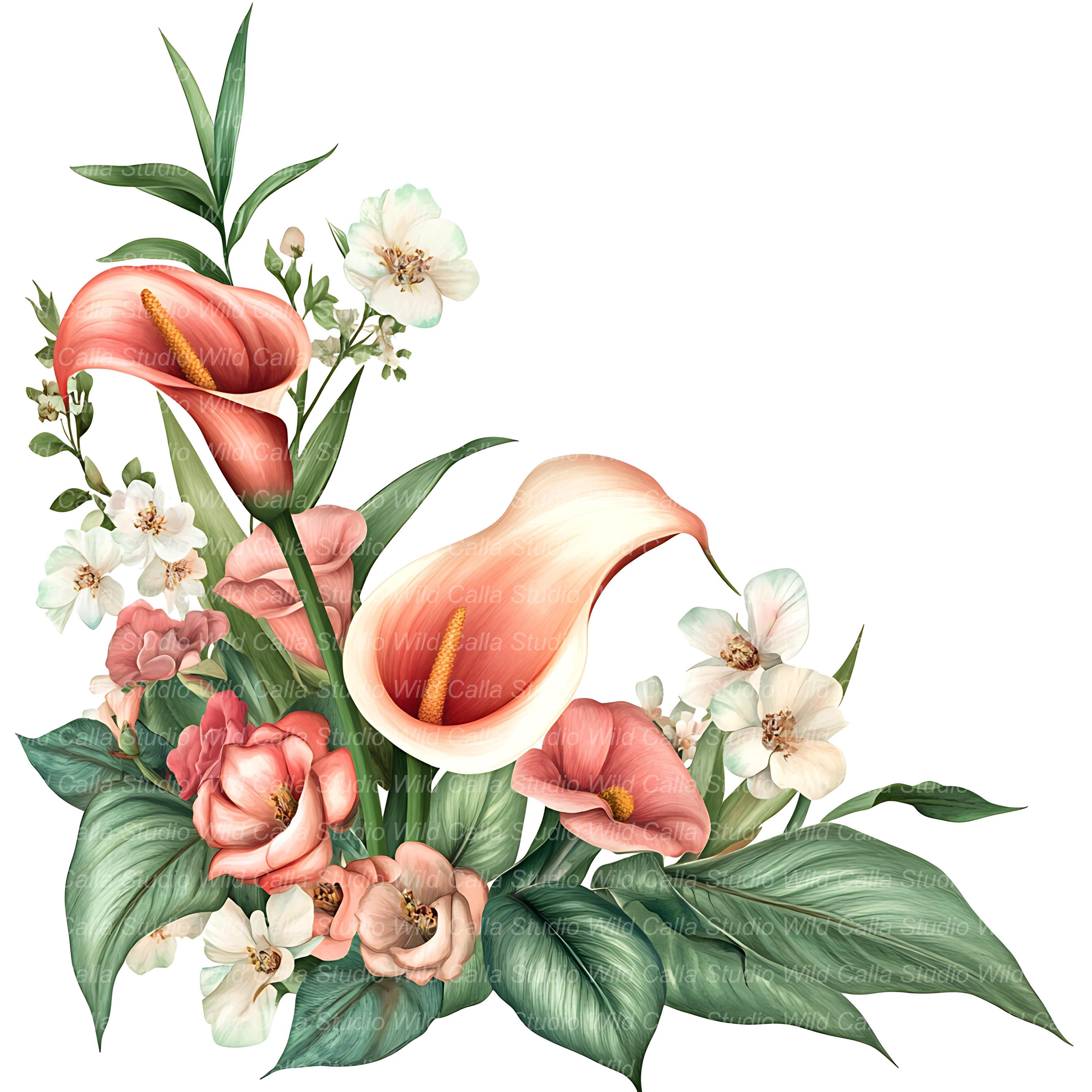 Calla Lily Clipart: Pastel Floral Borders for Card Making (16 JPG Files ...