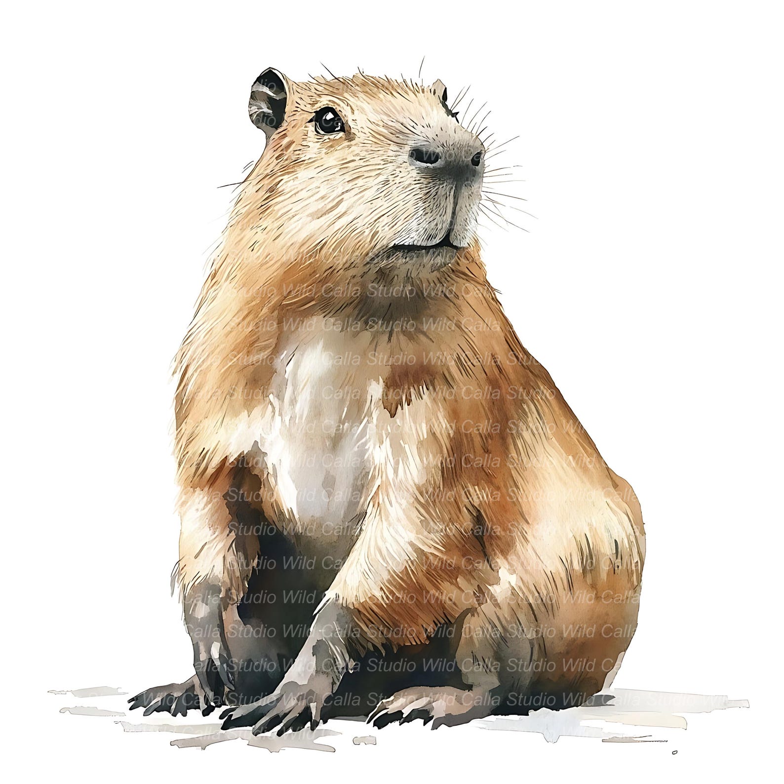 Capybara Watercolor Clipart - Printable Digital Scrapbooking Art - Etsy