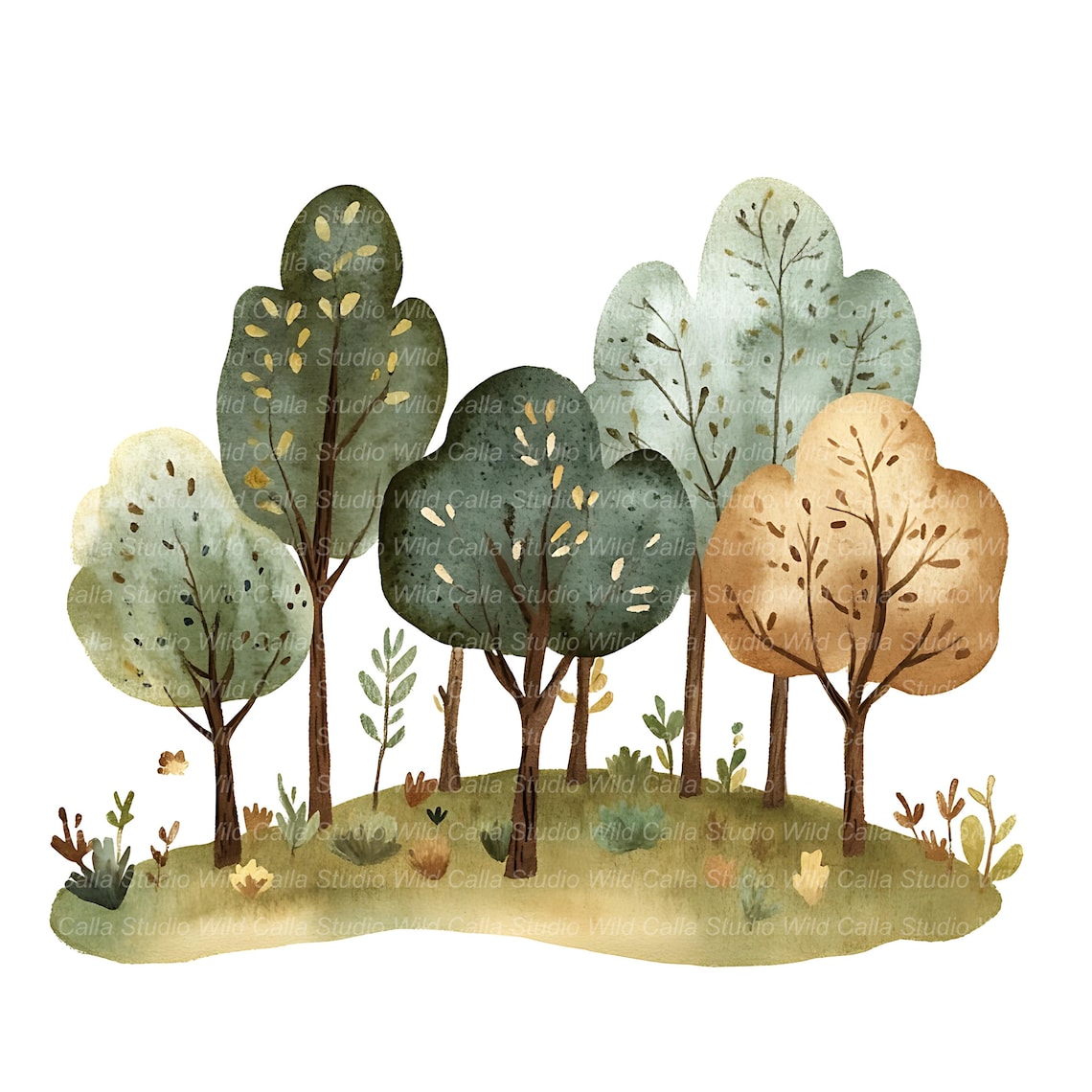 Forest Tree Clipart, Watercolor Printable (16 JPG Images) - Etsy