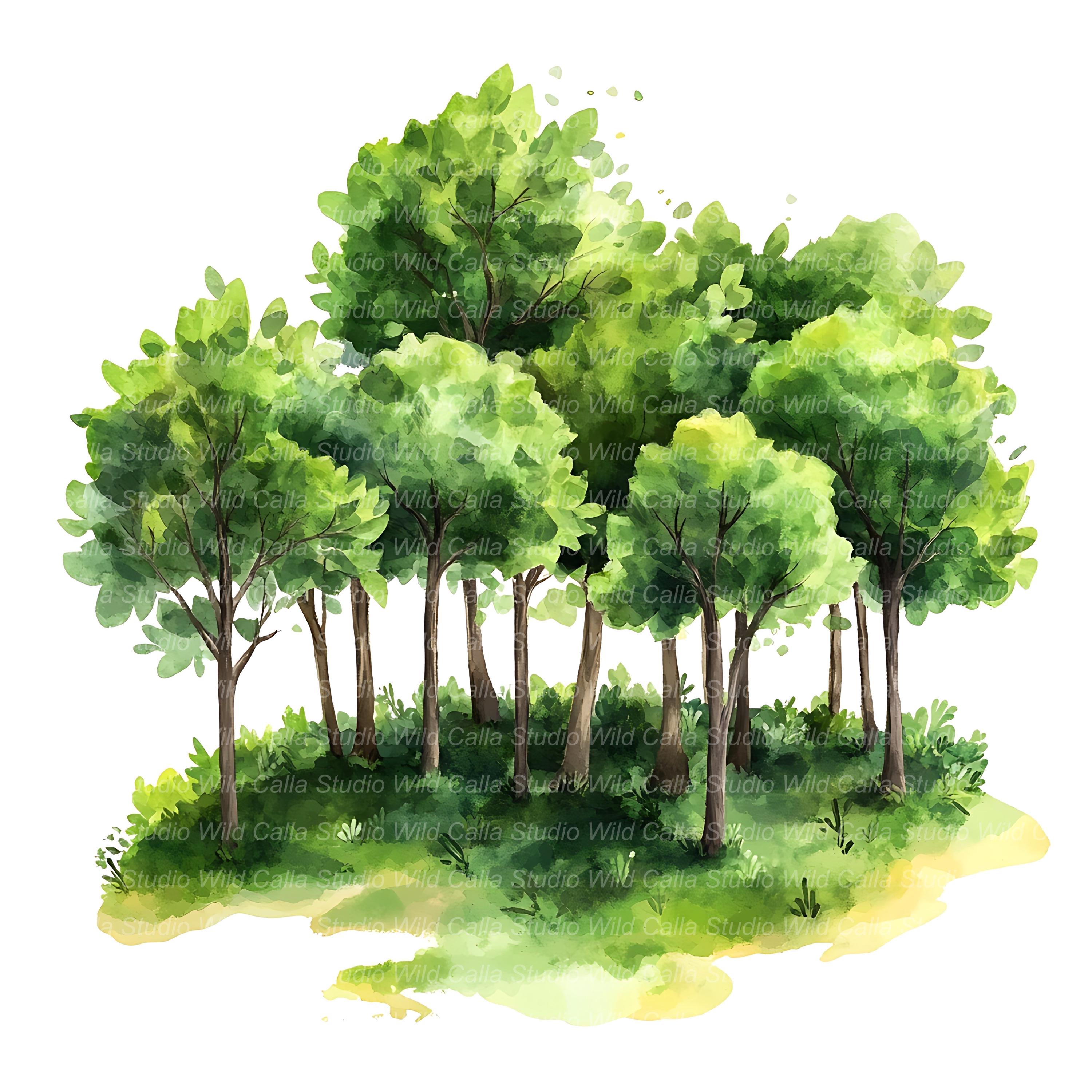 Forest Tree Clipart, Watercolor Printable (16 JPG Images) - Etsy