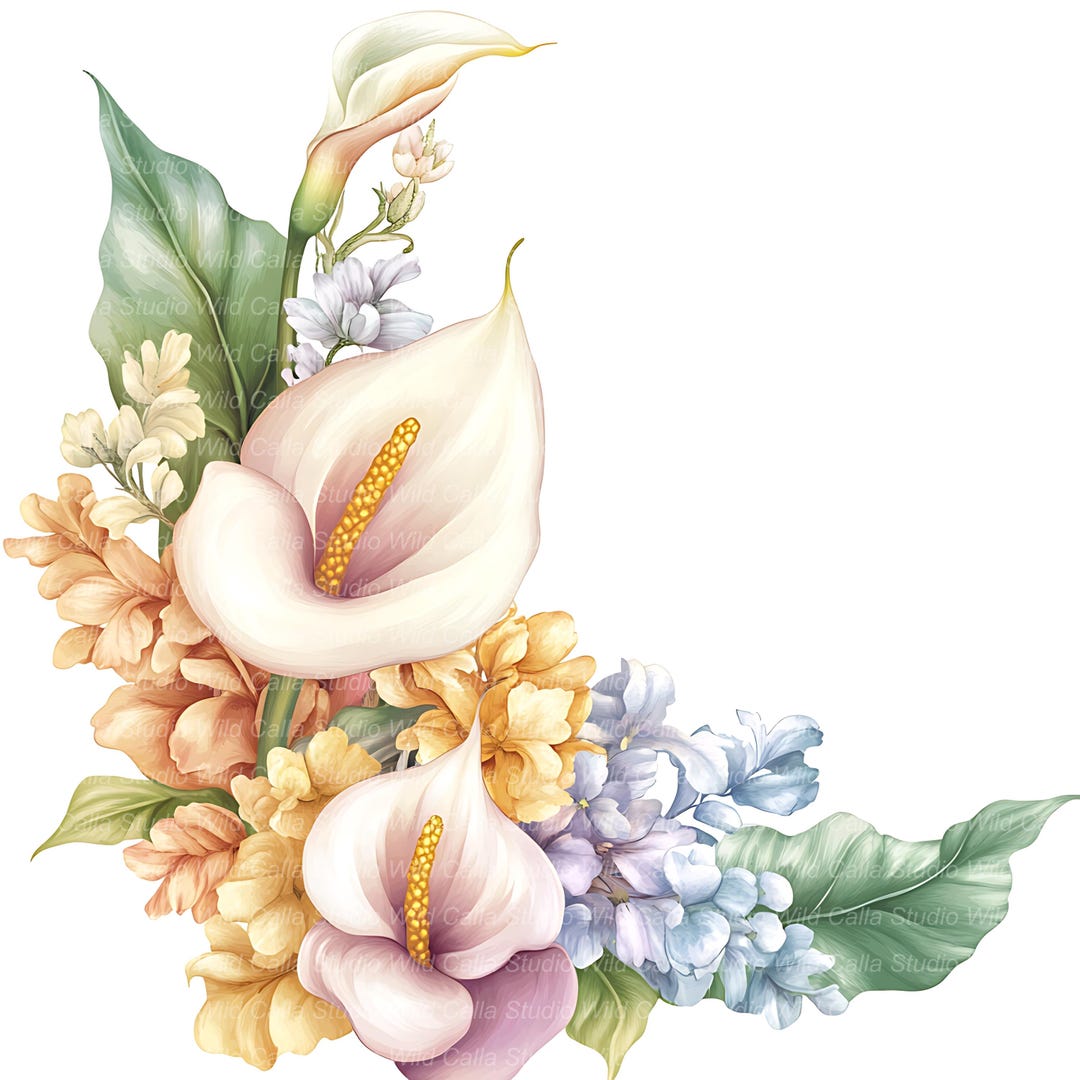 Calla Lily Clipart: Pastel Floral Borders for Card Making (16 JPG Files ...