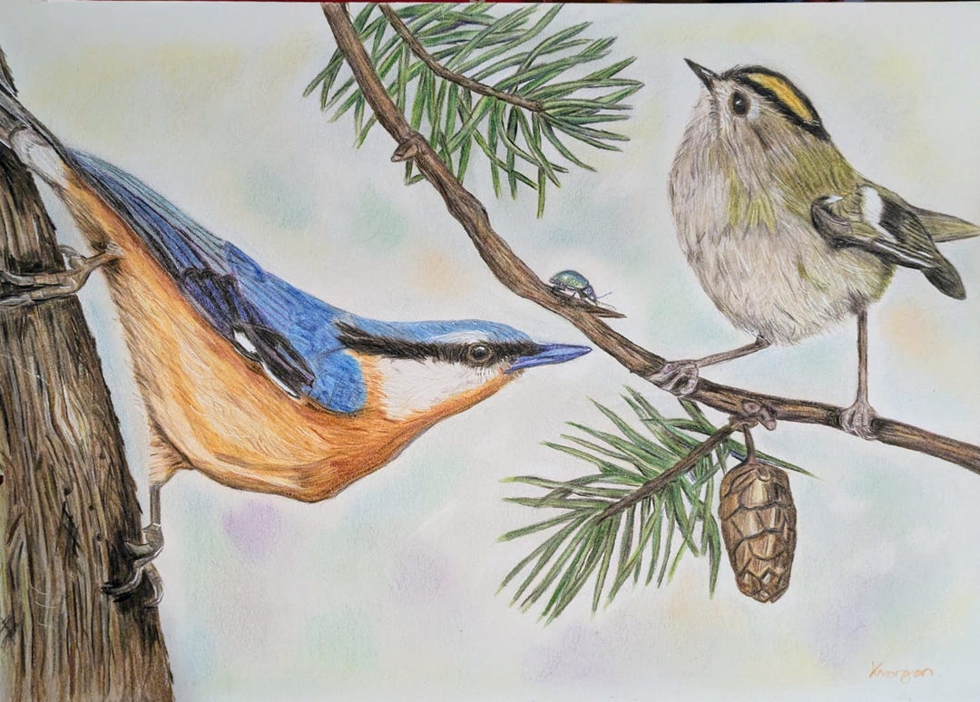 The Encounter- Art Piece Depicting a European Nuthatch and a Gold Crest ...