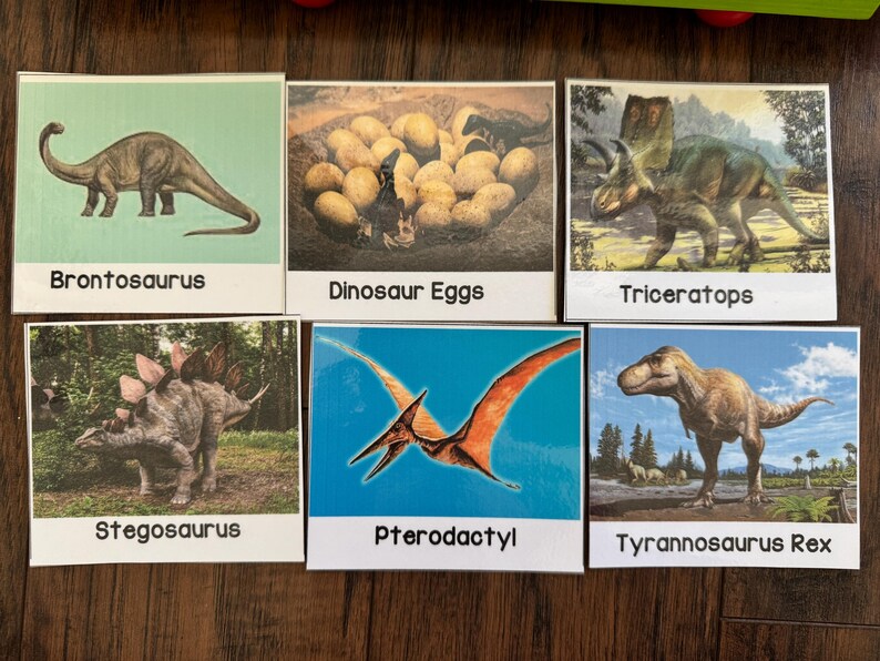 Dinosaur Hide and Seek Felt Story Board Set, Game, Rhyme, Library Story ...