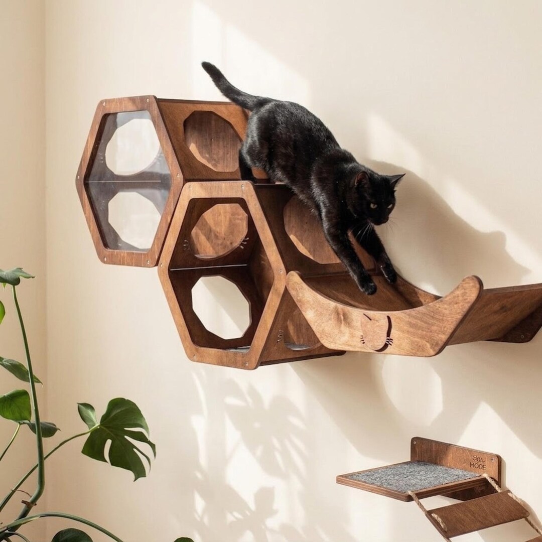 Wooden Cat Shelves Climbing Furniture Set – Rustic Cat Gym Wall Décor ...
