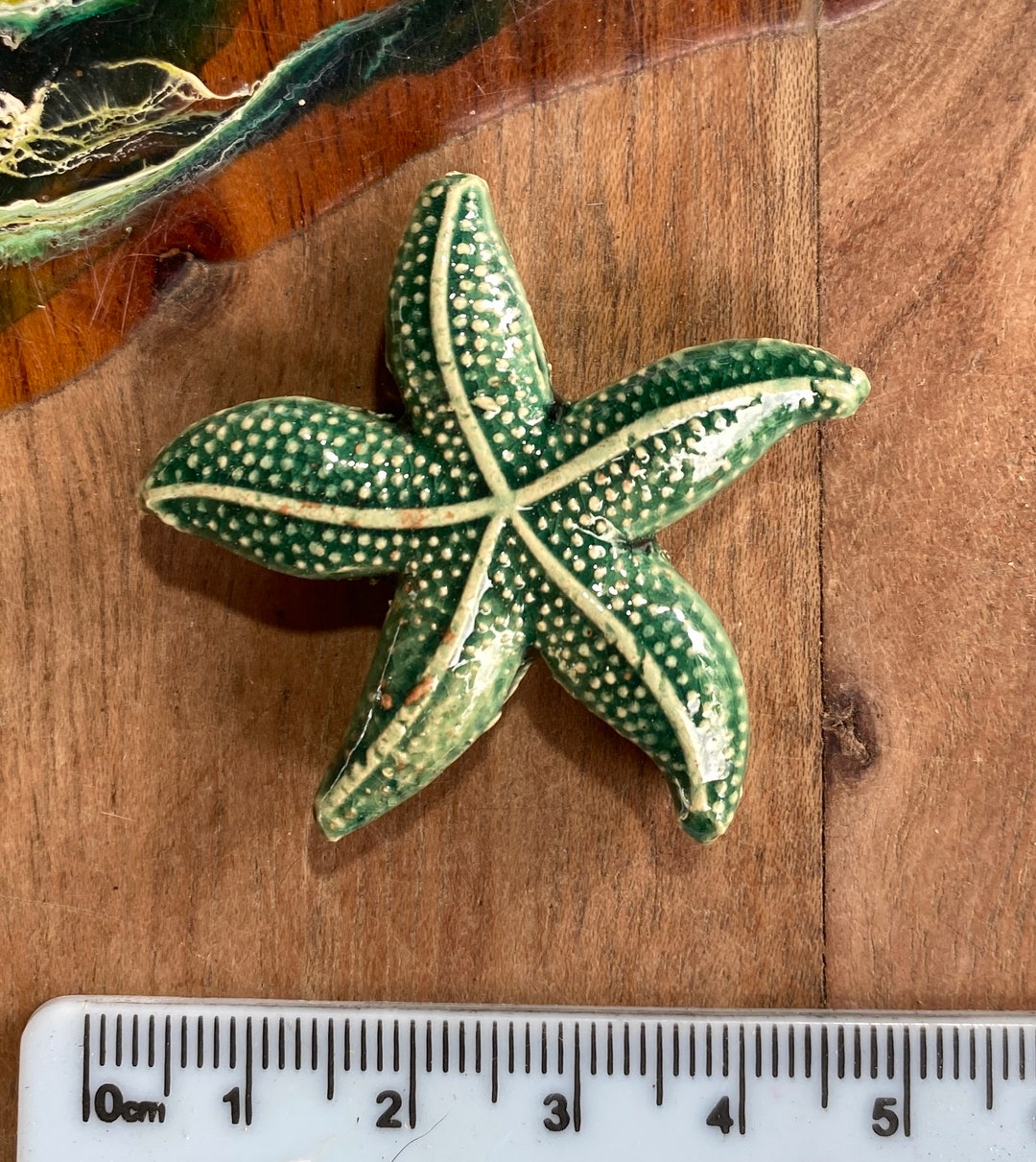 Ceramic Medium Star Fish, in Transparent Green - Etsy
