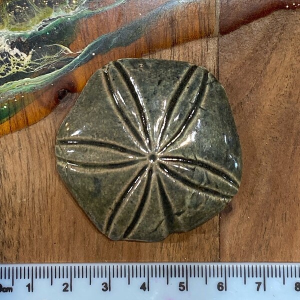 Ceramic Sand Dollar Tiles - Etsy