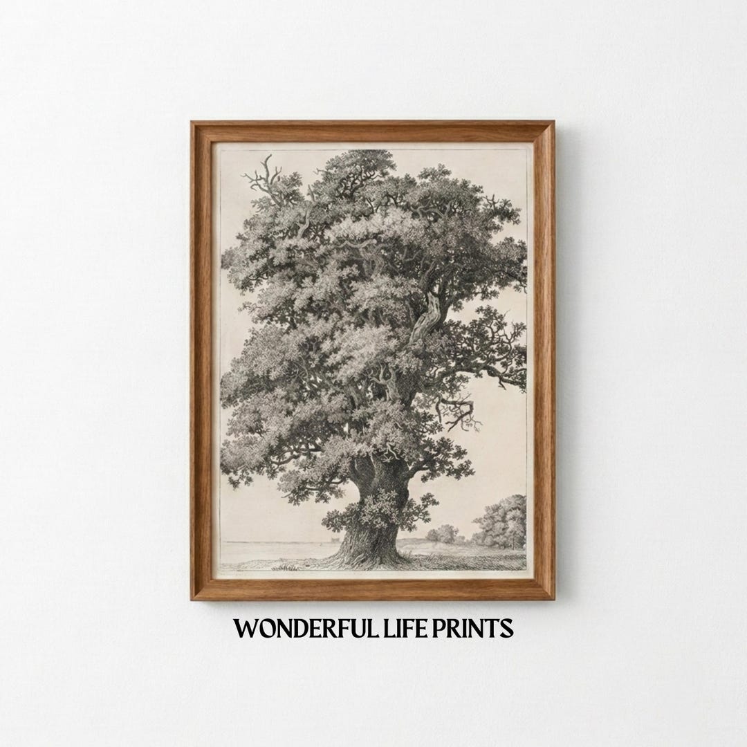 Vintage Tree Sketch Print: New Heritage Home Decor, Modern Traditional ...
