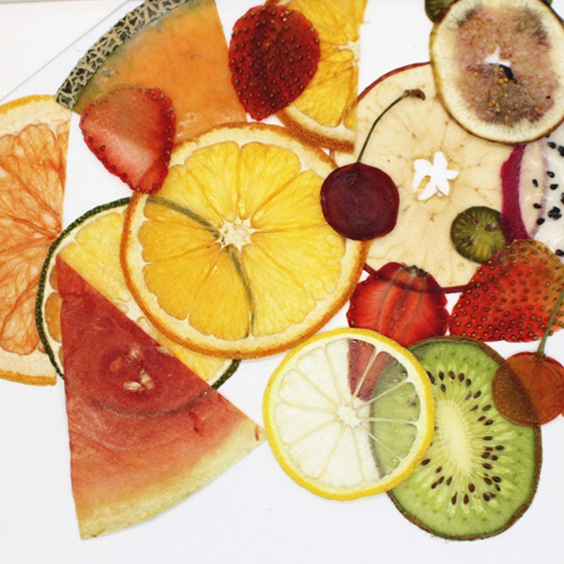 Mini Fruit Slice Small Natural Handmade Fruit Specimen Pressed Fruit ...
