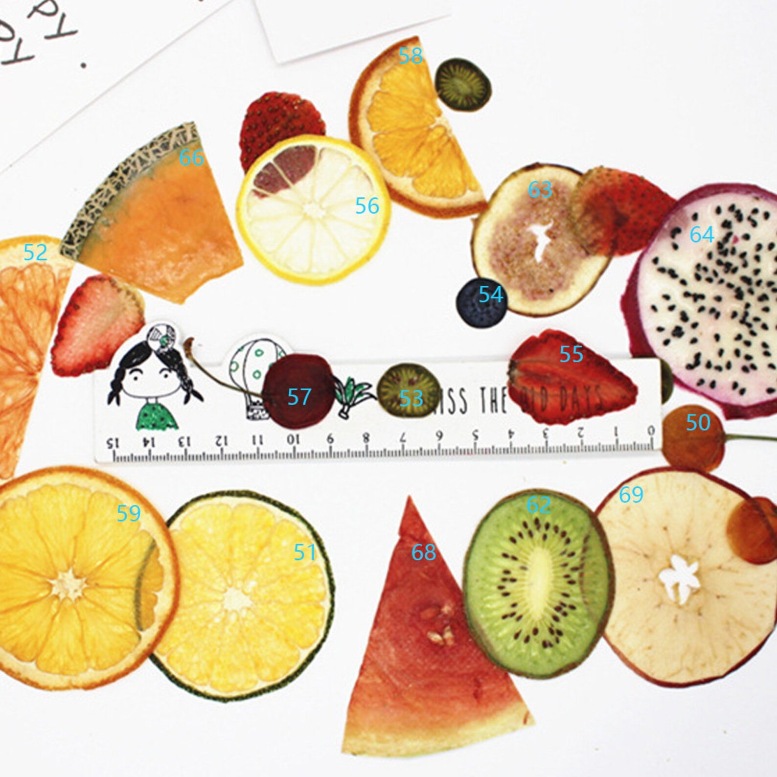 Mini Fruit Slice Small Natural Handmade Fruit Specimen Pressed | Etsy