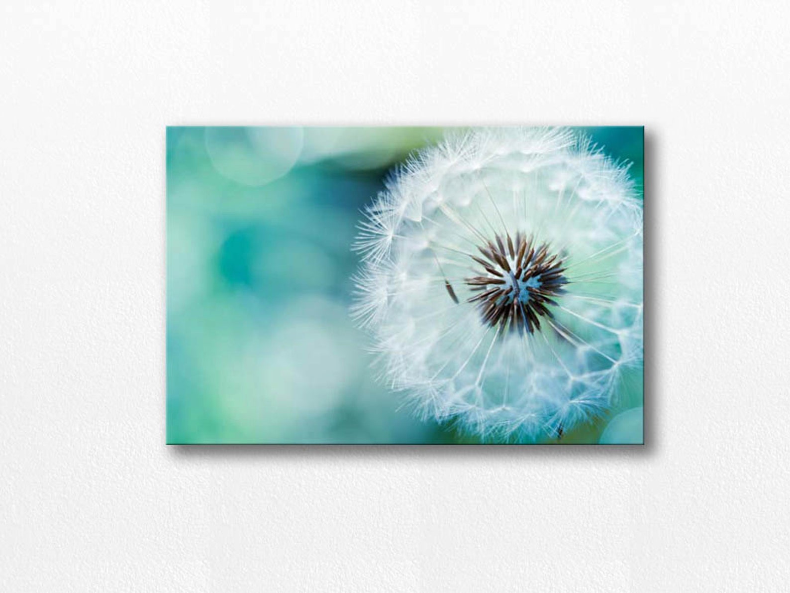 Canvas art Dandelion canvas print dandelion wall art dandelion | Etsy