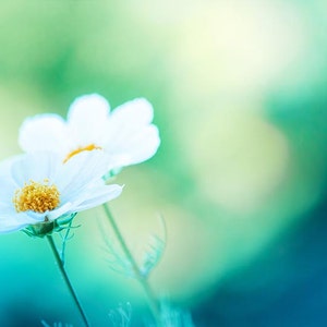 Teal floral print botanical art print flower print nature | Etsy