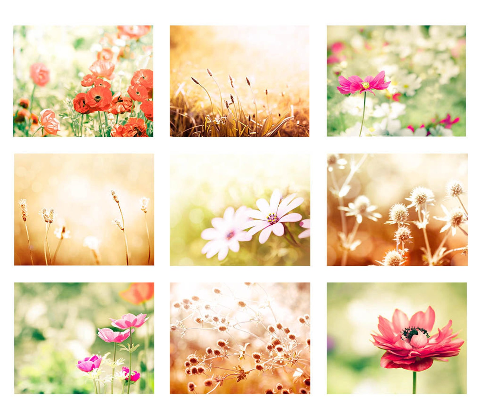 Flower Photography Print Set of 9 Botanical Photography Floral - Etsy