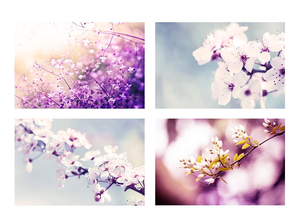 Flower Photography Set Nature Photography Botanical 5x7 8x10 | Etsy