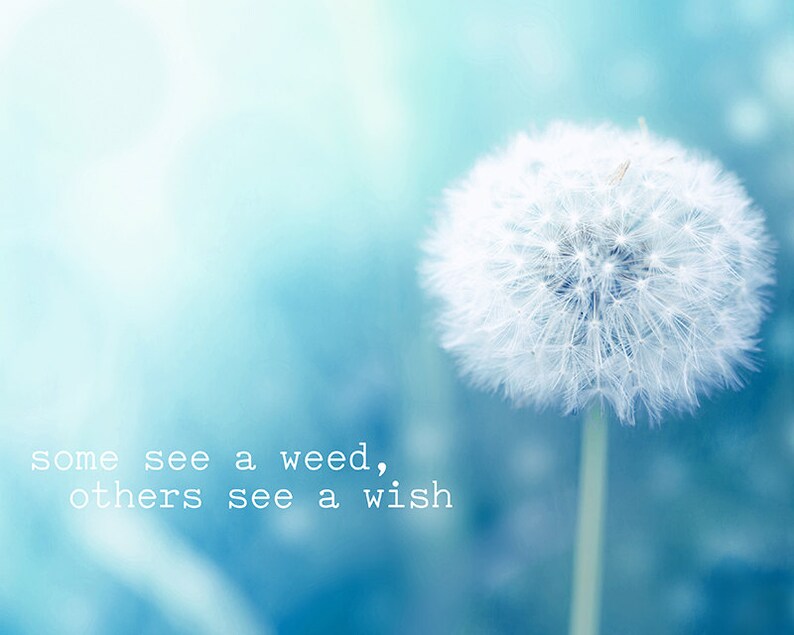 Dandelion With Quote