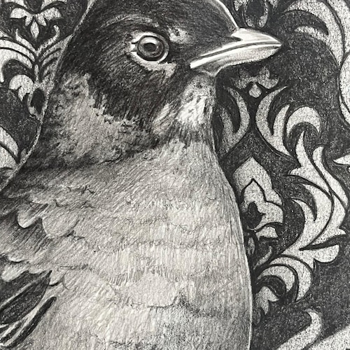 RobinsRun - Etsy