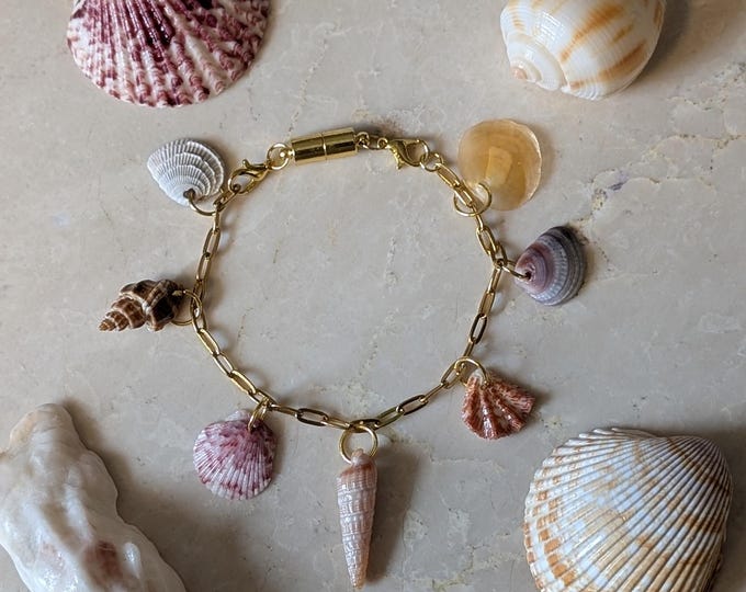 Gold Plated Sea Shell Charm Bracelet , All Shells Handpicked on Marco ...