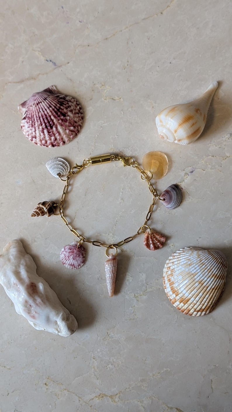 Gold Plated Sea Shell Charm Bracelet , All Shells Handpicked on Marco ...