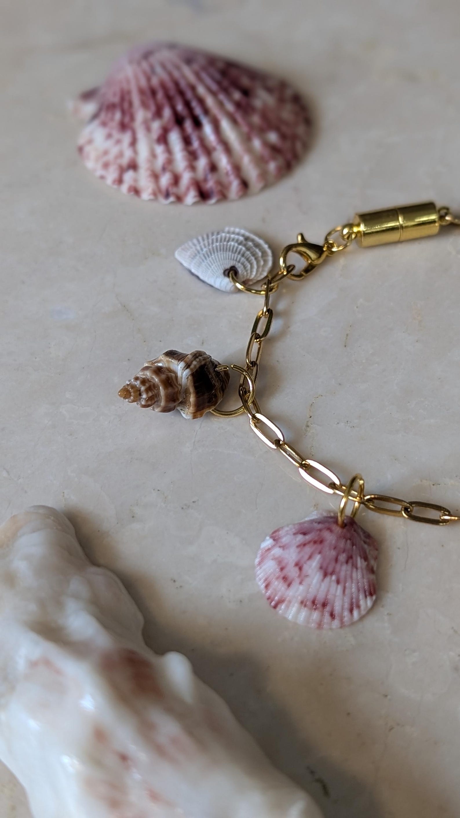Gold Plated Sea Shell Charm Bracelet , All Shells Handpicked on Marco ...