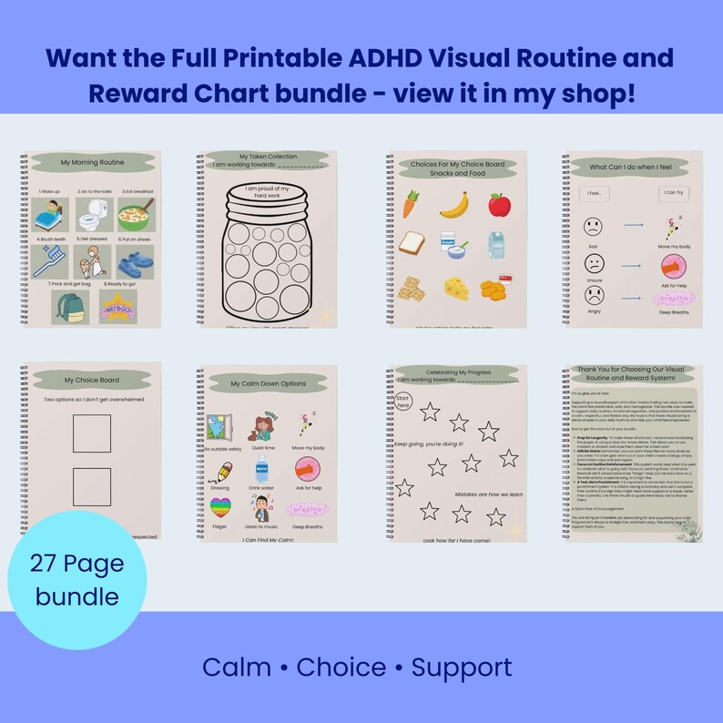 Autism ADHD Visual Schedule | Transition Chart, Routine Support ...