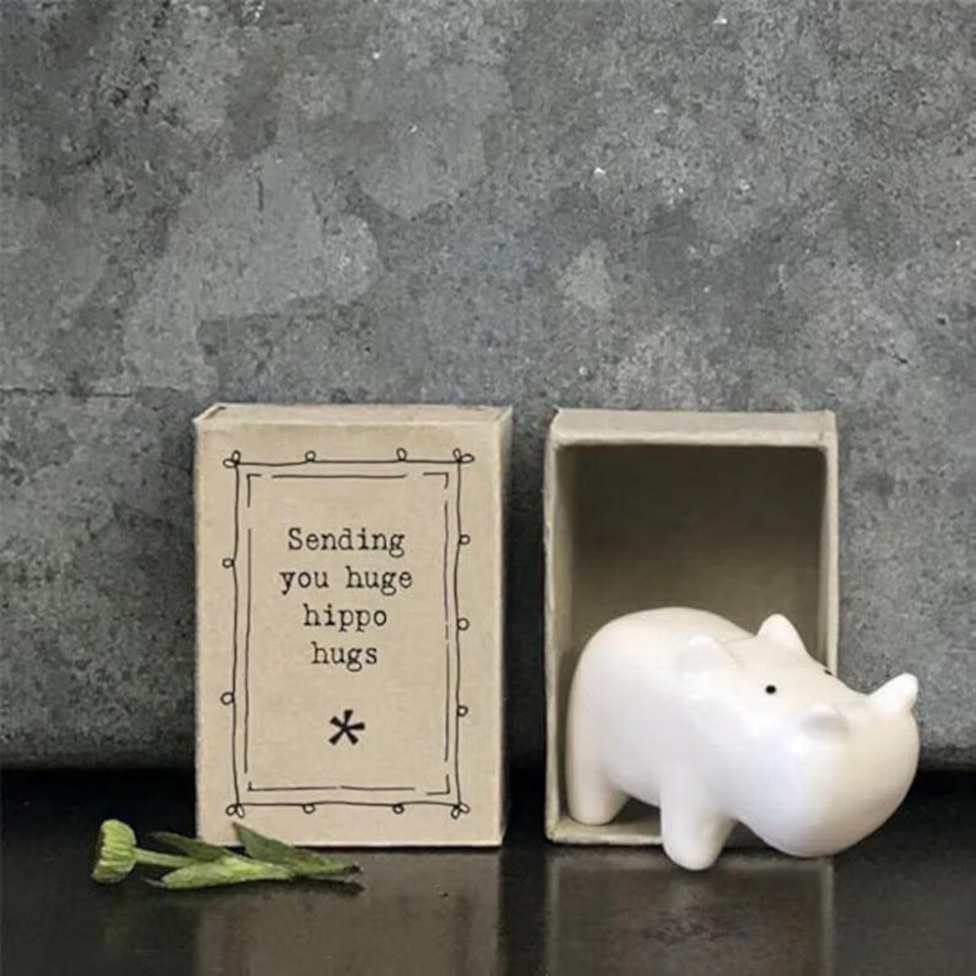 Sending You Huge Hippo Hugs Matchbox Gift - East of India - Etsy