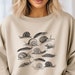 Snails Sweathirt, Snail Lover, Snails Sweater, Snail Gifts, Gardening ...