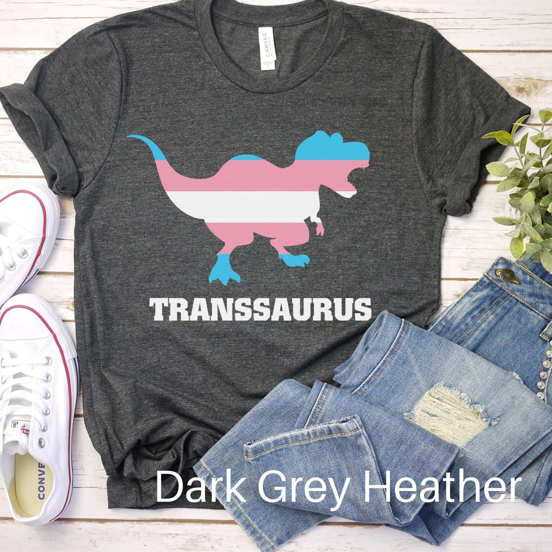 Trans Pride Shirt, Transgender Shirt, LGBT Shirt, Transgender Pride ...