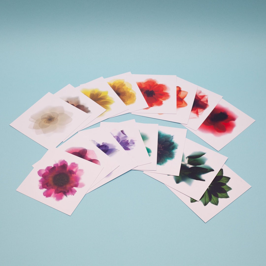 Mini Flower Postcard Pack Small Prints With Flowers Colourul - Etsy