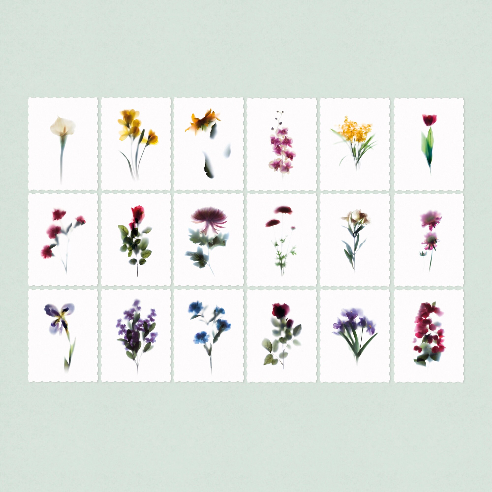 18 Cute flower stickers Floral journal stickers pack | Etsy