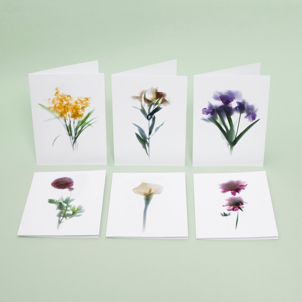 Floral Greeting Card Set of 6 Botanical Card Pack Any - Etsy