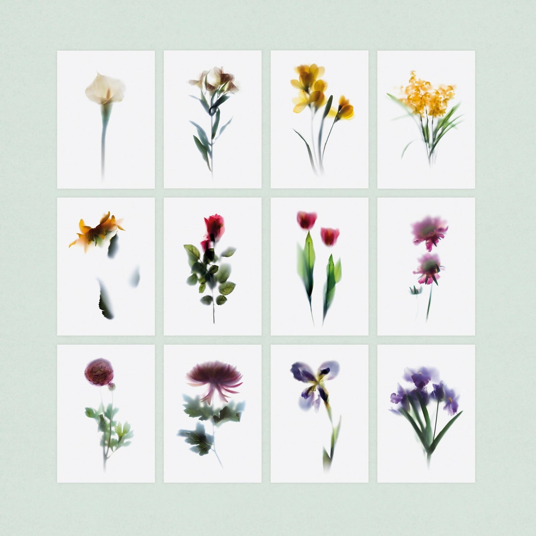 Pack With 12 Floral Note Cards, Pretty Birthday Card Set, Thank You ...