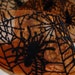 2" Black Velvet Spider & Web on Sparkling Sheer Orange Organza Ribbon ...