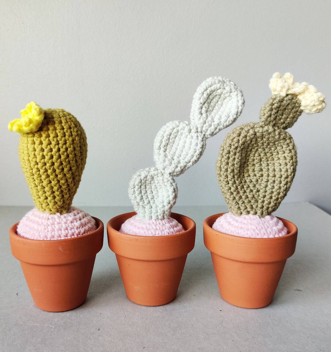 Crochet PATTERN, Cactus, Amigurumi Bundle, PDF Cacti Pattern, Easy Beginner Tutorial, Crochet ...