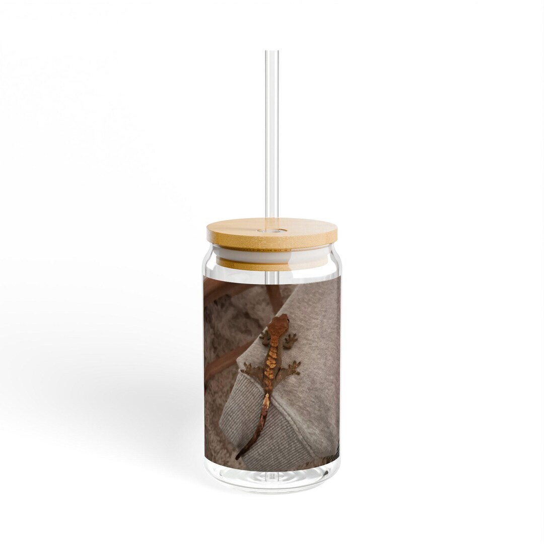 Crested Gecko Lizard Sipper Glass - Etsy