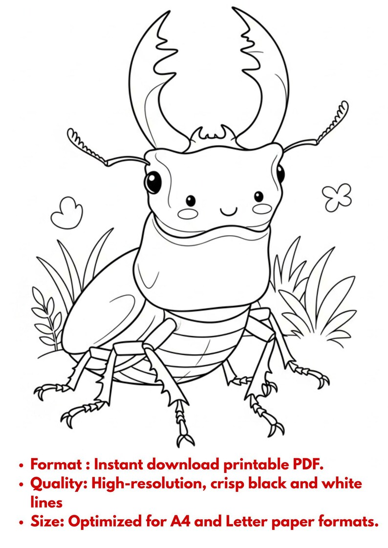 Insects & Flowers Coloring Book, 50 Garden Pages, Nature Activity ...