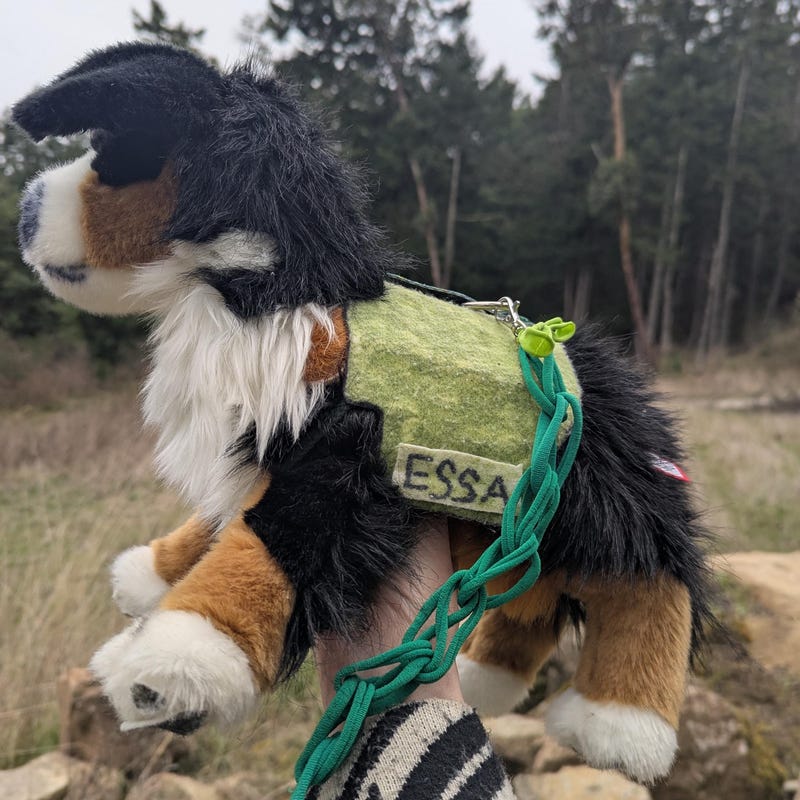 Douglas Dog Essa Plush - Etsy