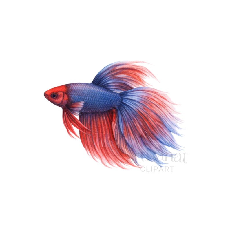 Aquarium Clipart Set, Watercolor Fish Tank PNG, Tropical Fish ...