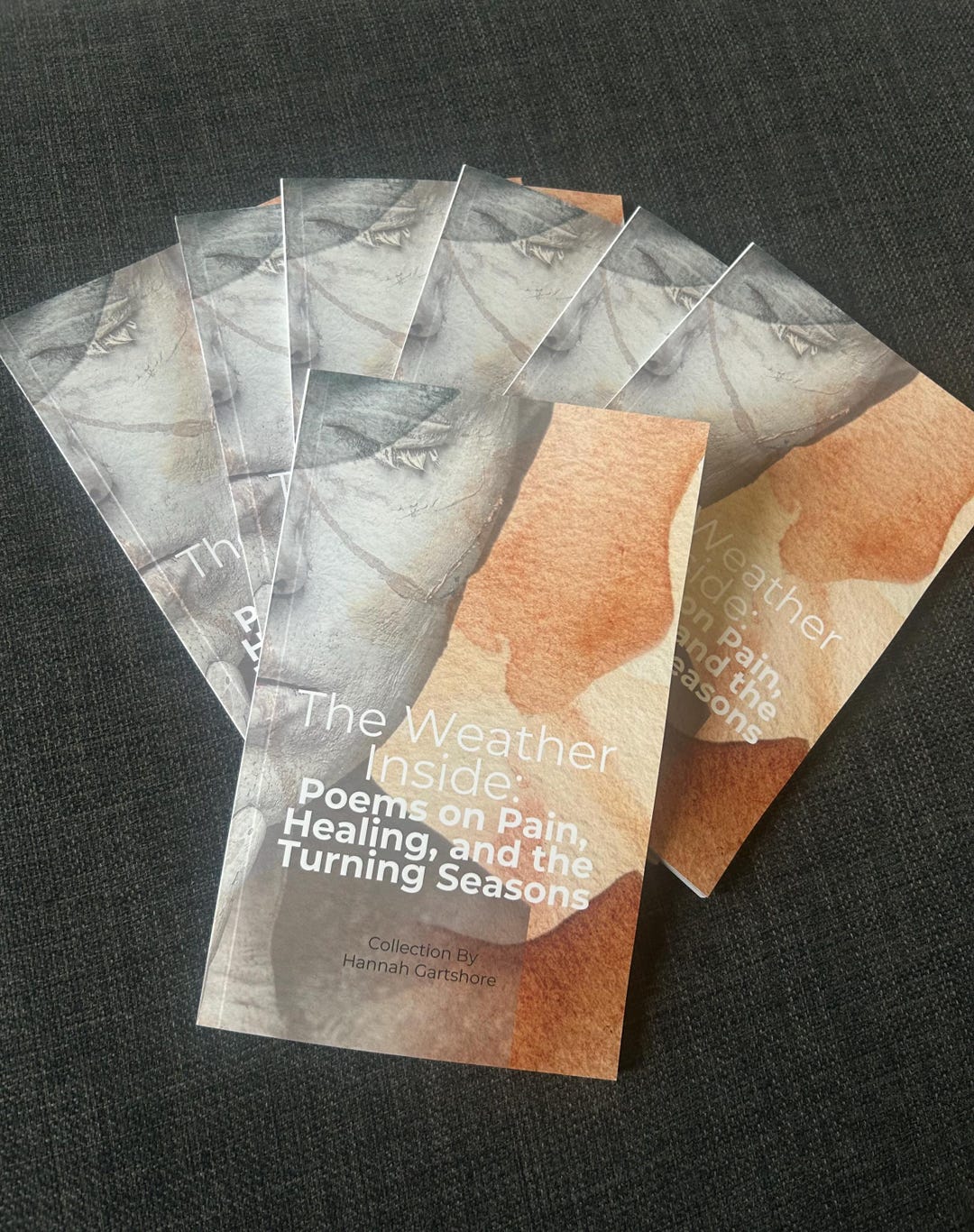 The Weather Inside: Poems on Pain, Healing and the Turning Seasons - Etsy