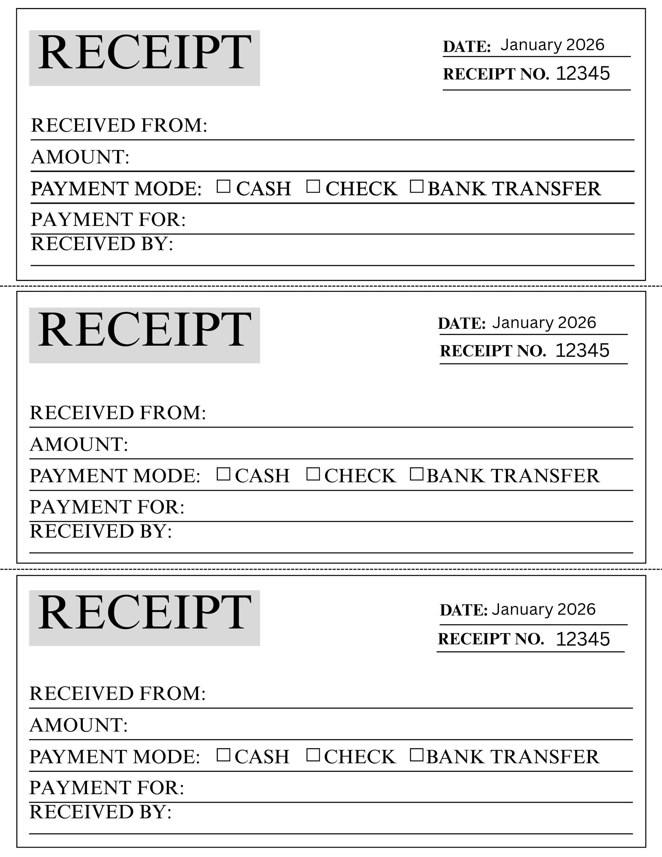 Editable Fillable Payment Receipt Template PDF File Canva Edit Digital ...