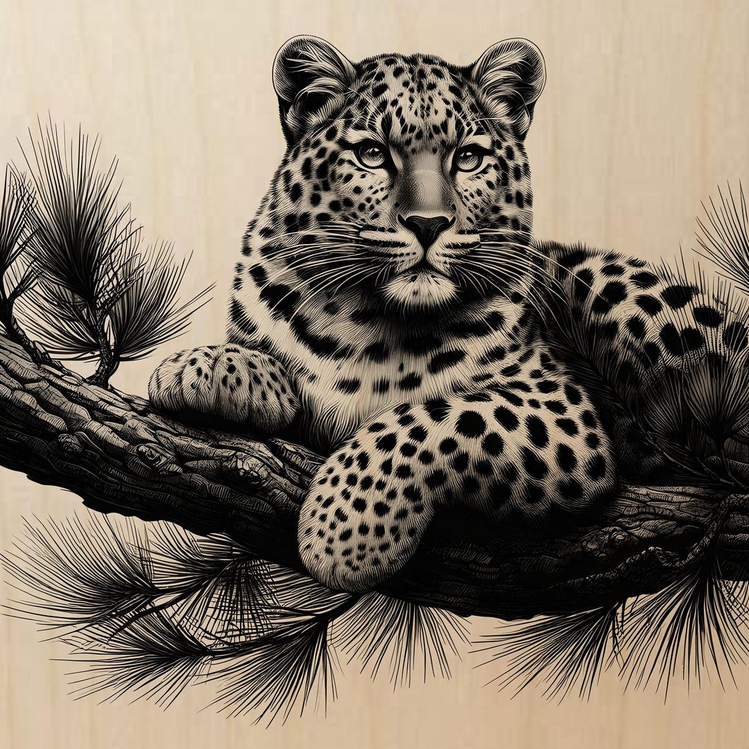 Leopard Grayscale Engraving, Resting Big Cat Artwork, Wildlife Laser ...