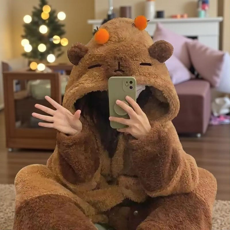 Capybara Onesie - Etsy