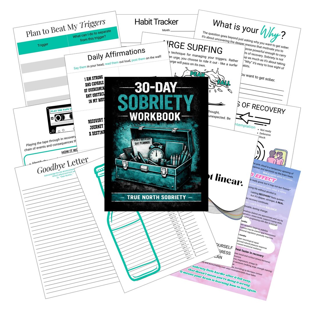 30-day Sobriety Workbook, Planner, Tracker, Recovery Toolbox, Addiction ...