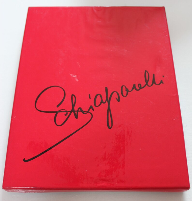 Vintage 2 Pr Schiaparelli Stockings in Signature Box - Etsy