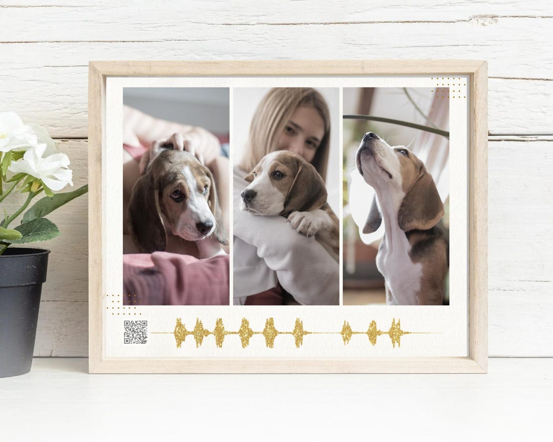 Pet Memorial Soundwave Frame With Online Memorial Page | Signature ...