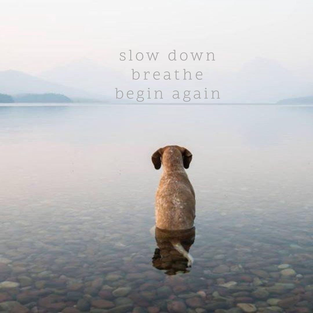 Slow Down Breathe Begin Again – Minimalist Inspirational Wall Art ...