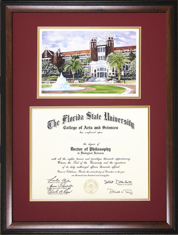 Florida State Diploma Frame | Etsy