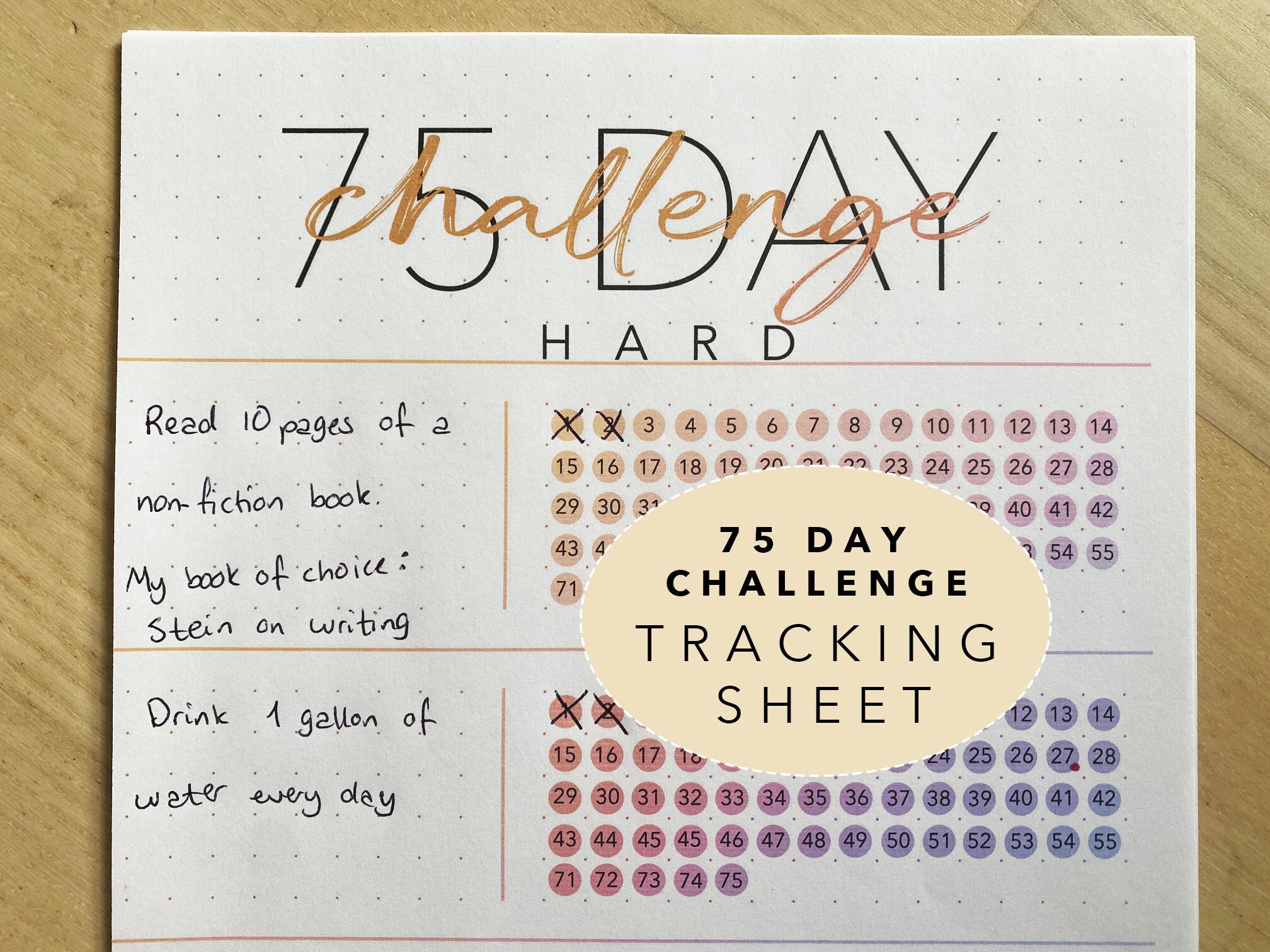 75 Day Challenge Tracking Sheet - Etsy