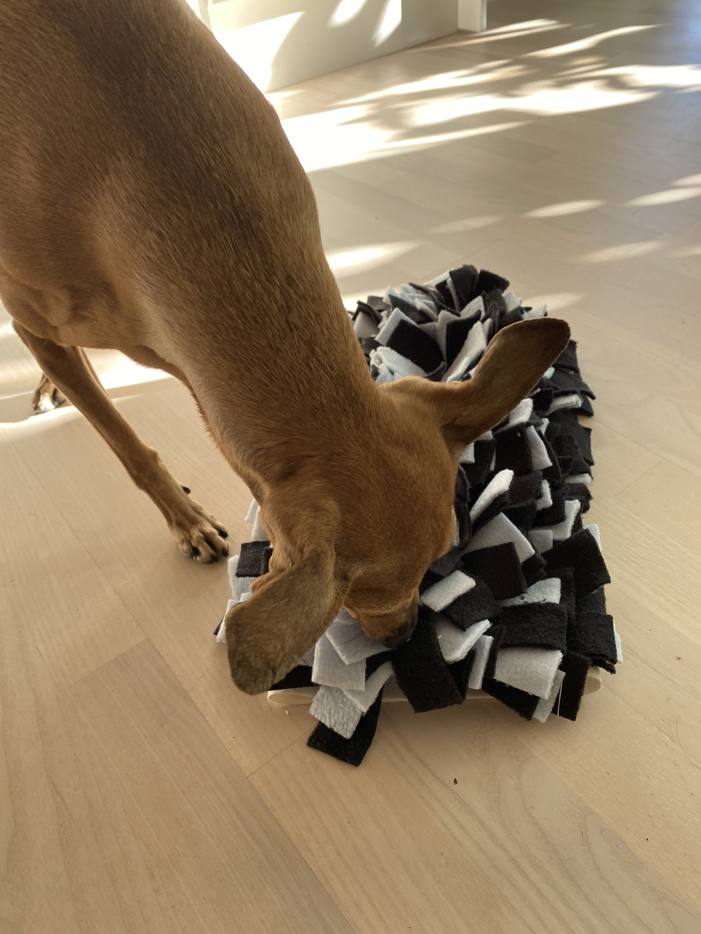 Snuffle Mat for Your Dog PATTERN / Make Your Own / Digital - Etsy