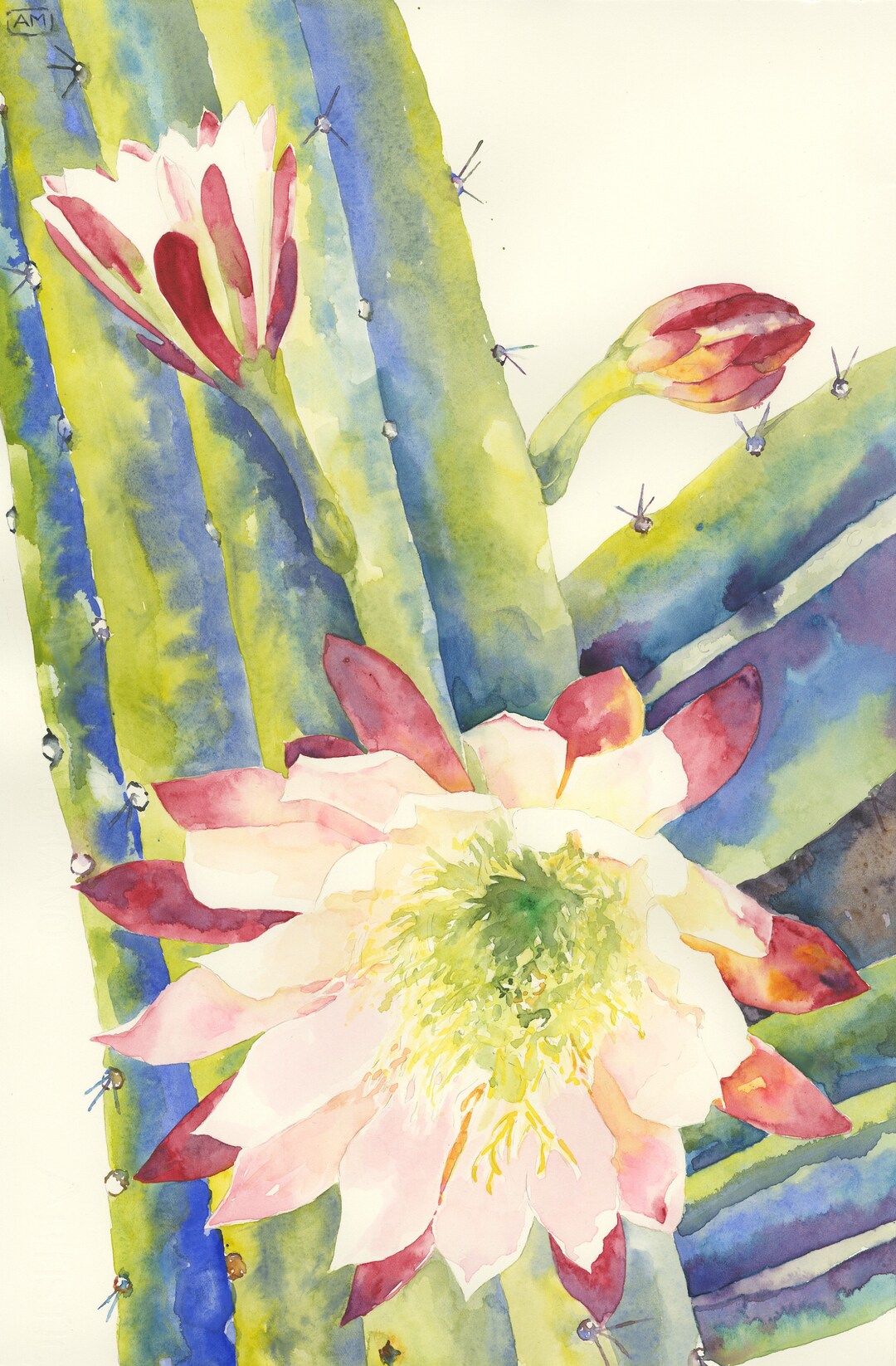 Hope Blooms Watercolor Art Print | 11x14 Matted Fine Art | Desert ...
