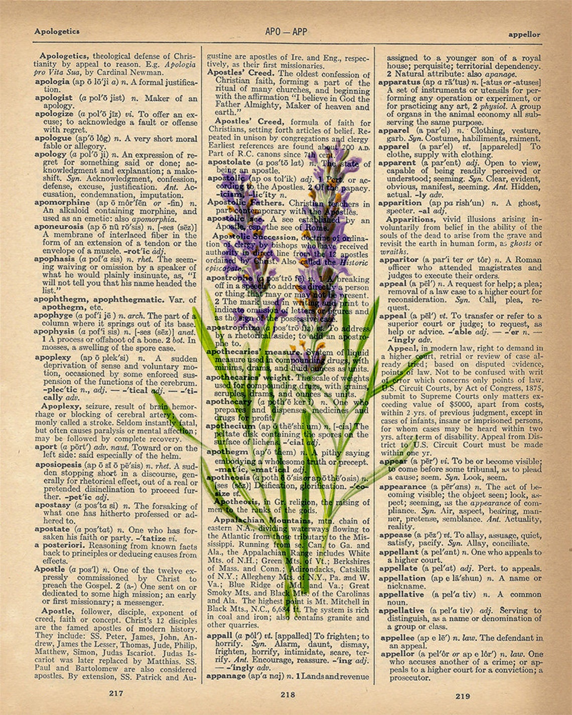 Dictionary Art Print - Beautiful Lavender Flower - Upcycled Vintage ...