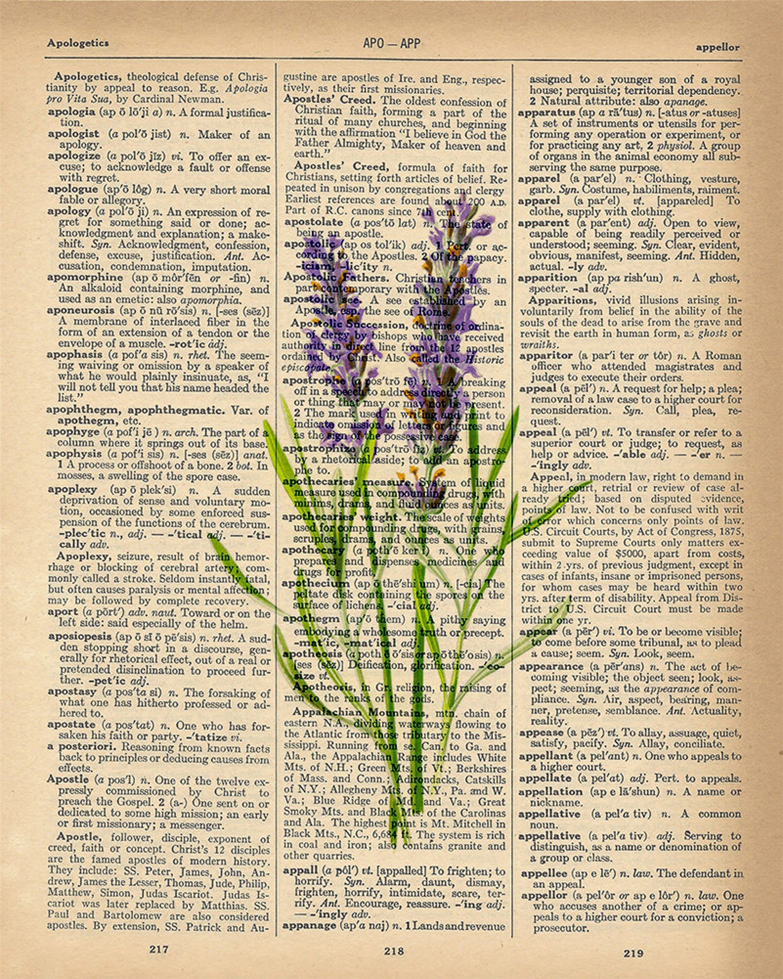 Dictionary Art Print - Beautiful Lavender Flower - Upcycled Vintage ...